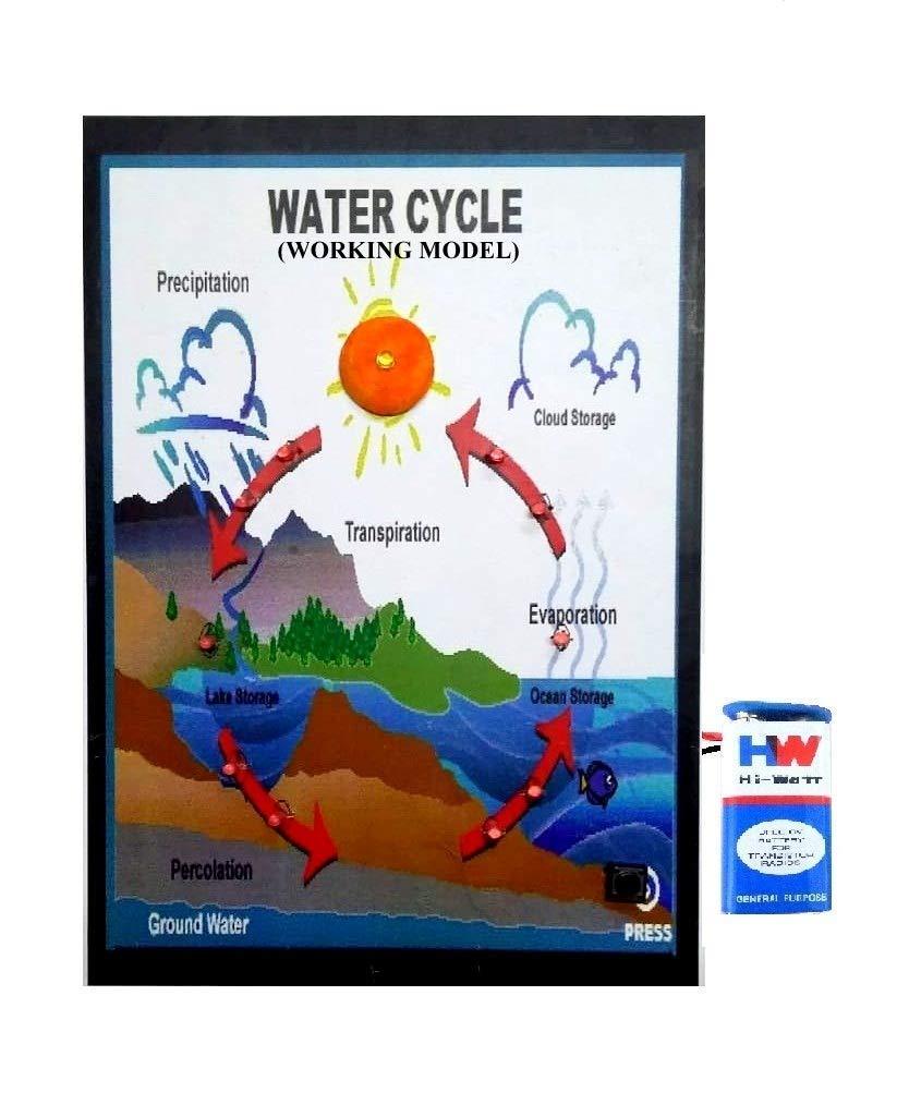 Water Cycle Working Model